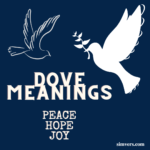Dove Meaning: Symbolism & Spiritual Meanings (Explained)