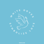Dove Meaning: Symbolism & Spiritual Meanings (Explained)